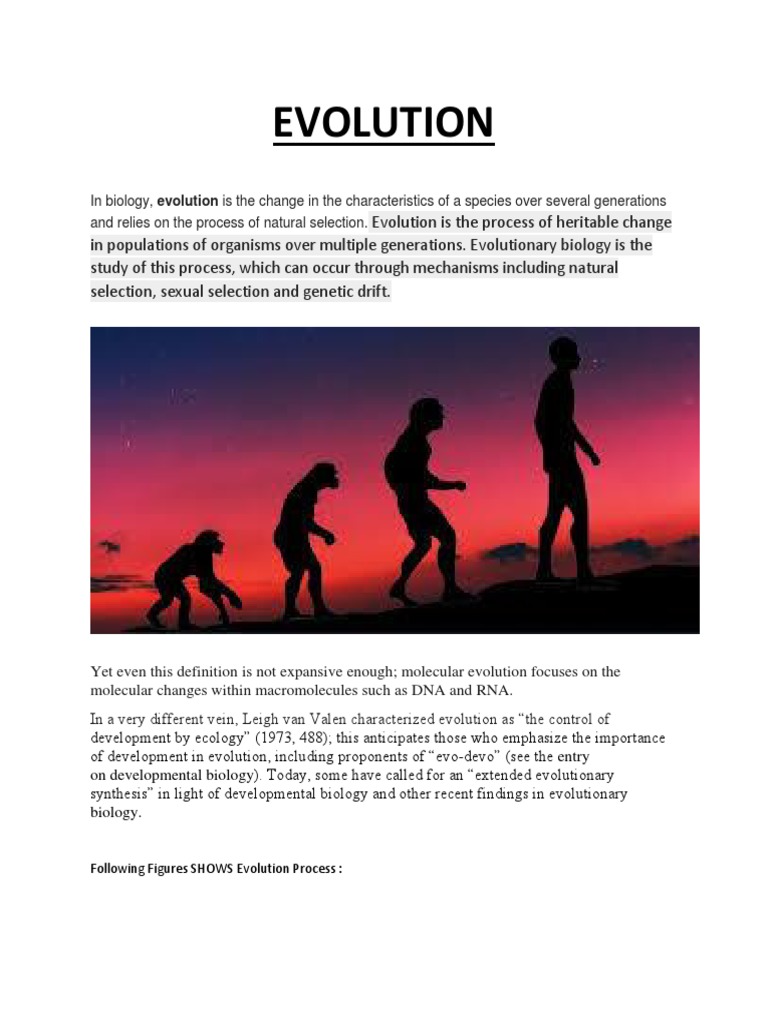 Circle of Evolution PDF | PDF