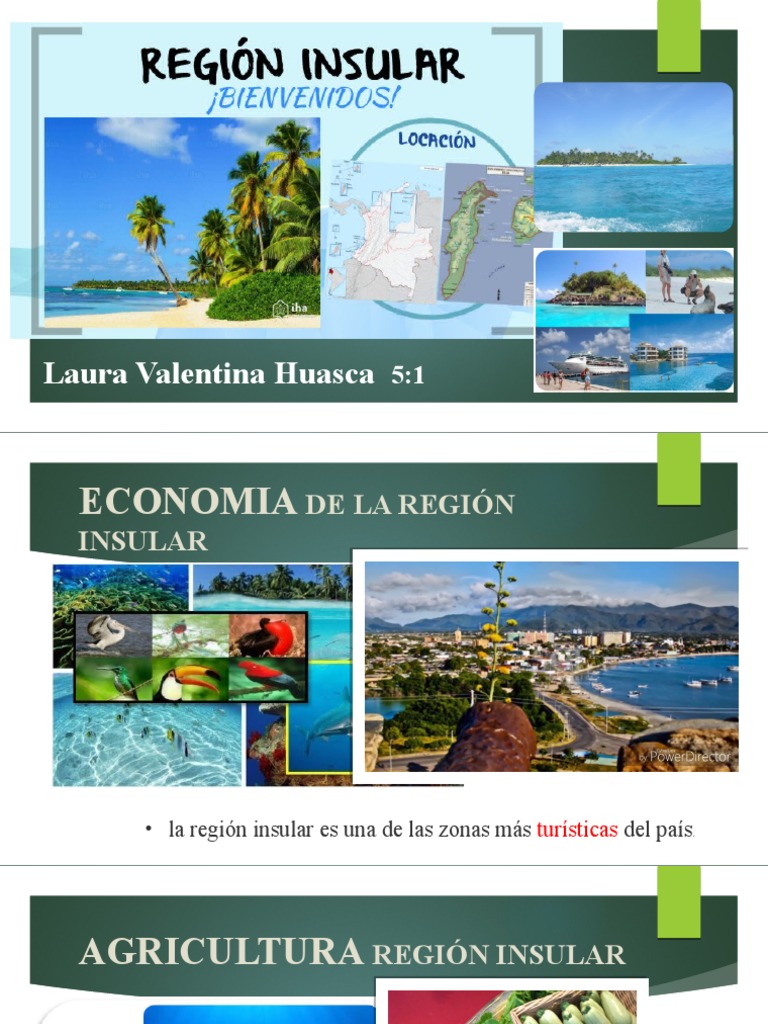Exposicion de Region Insular | PDF