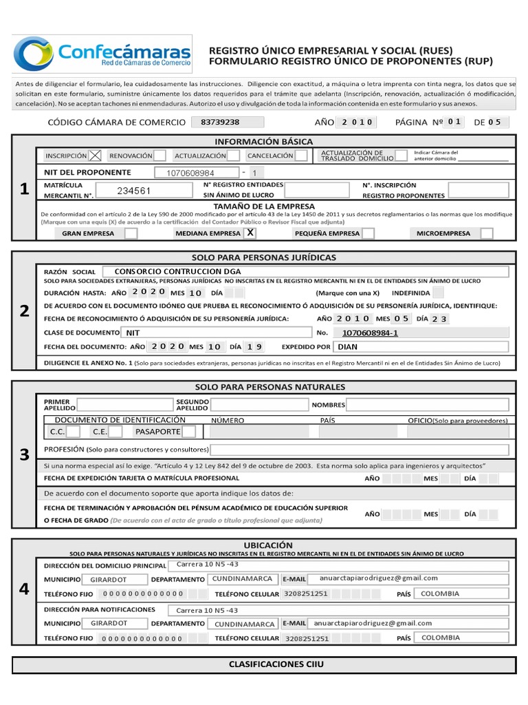 Rup Formulario | PDF