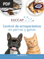 Coprológico y Métodos de Concentración en Veterinaria MVZ | PDF | Heces ...