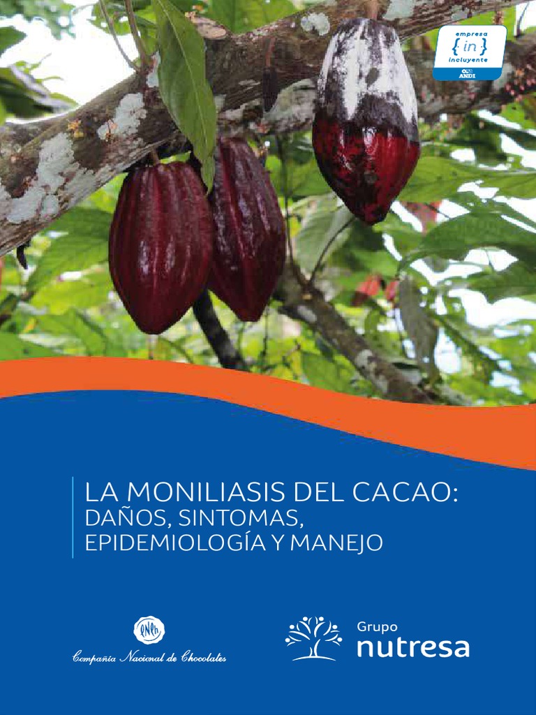 La Moniliasis Del Cacao PDF | PDF | Bienestar | Medicina