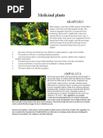 Alcohol Rules 5e | PDF | Barrel | Alcoholic Drinks