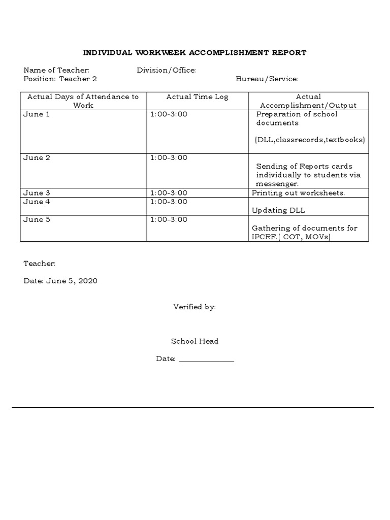 Individual Workweek Accomplishment Report | PDF