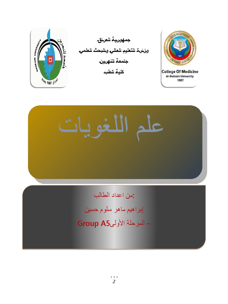 Arabic Report | PDF