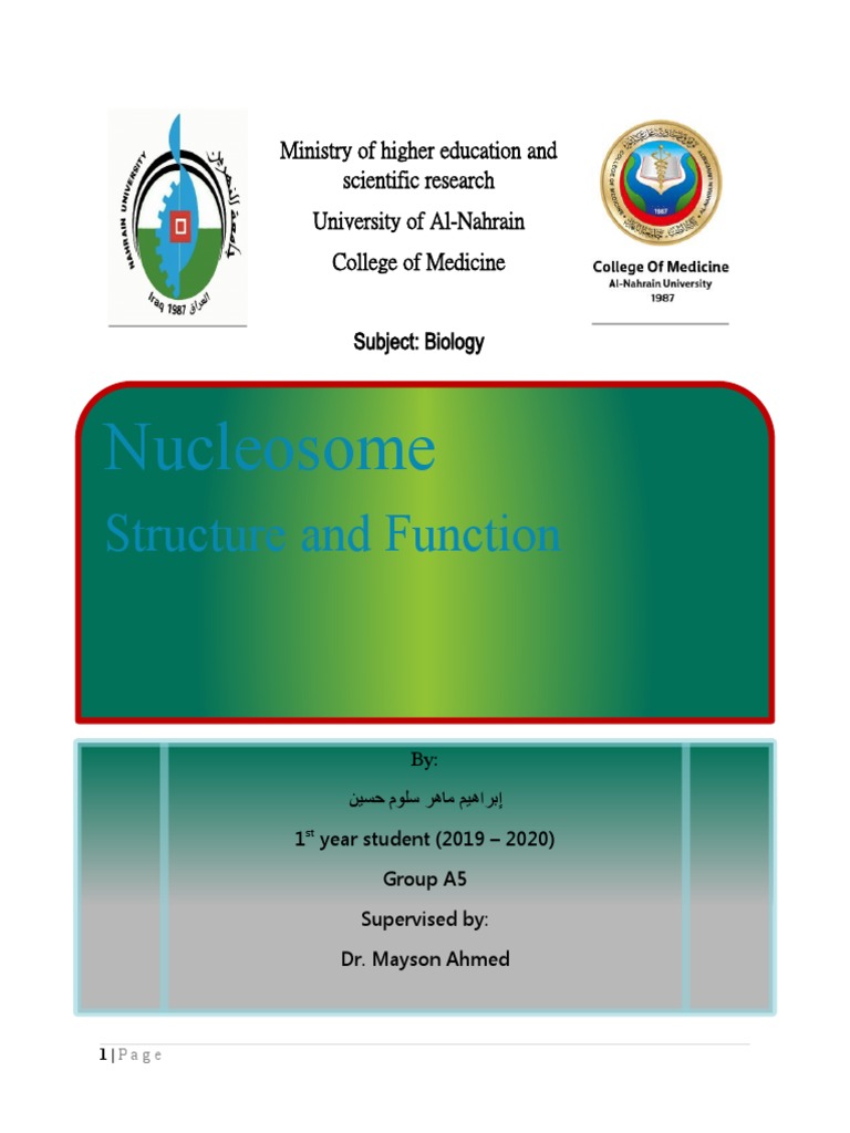 Nucleosome: Structure and Function | PDF | Histone | Chromatin