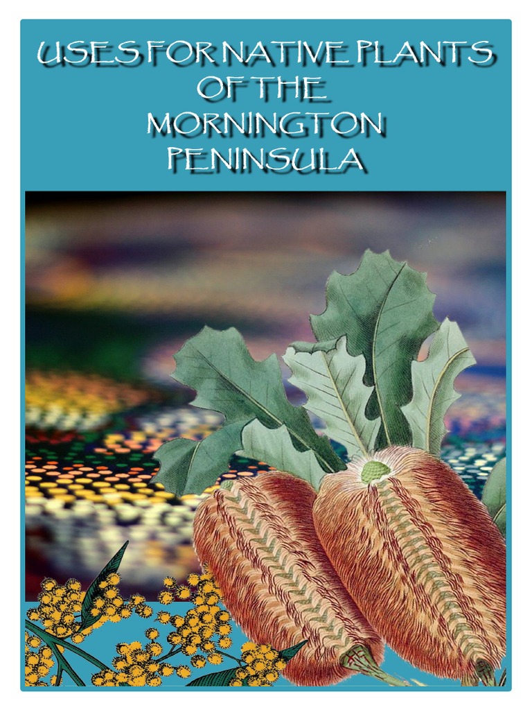 Uses For Native Plants of The Mornington Peninsula | PDF | Botany ...