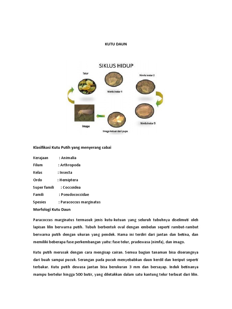 Kutu Daun | PDF