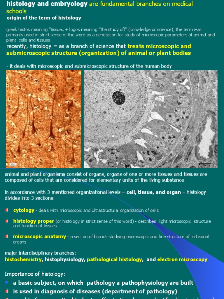 02 Histological Slide Preparation Ed For pt-1 | PDF | Staining | Histology