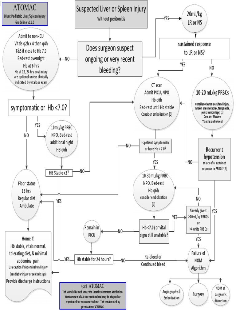 ATOMAC Guideline v11.0 PDF | PDF | Bleeding | Surgical Specialties