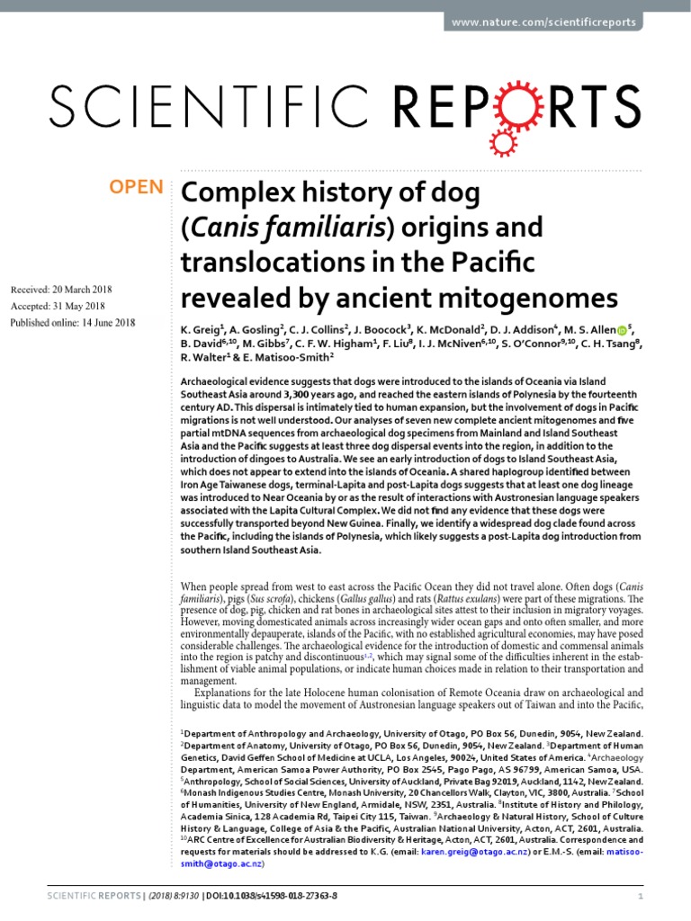 Complex History of Dog Canis Familiaris Origins and Translocations in ...