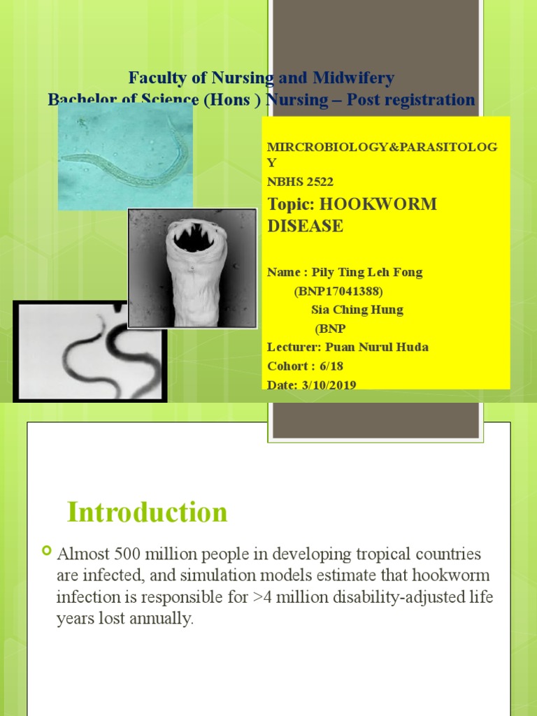 Presentation of Microbiology (Hookworm Disease) | PDF | Microbiology | Medical Specialties