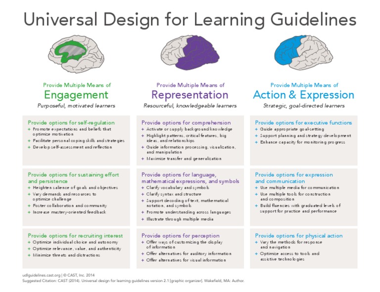 Udl Guidelines | PDF | Information | Neuropsychological Assessment
