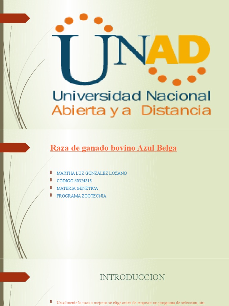 Raza de Ganado Bovino Azul Belga | PDF | Vacas | Carne