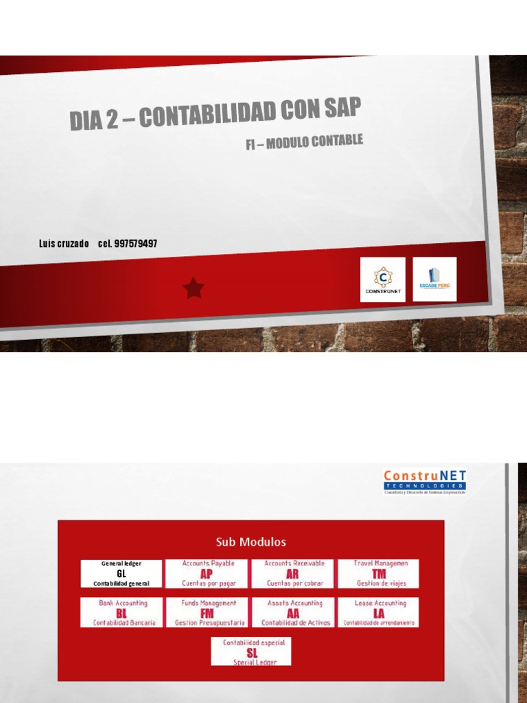 SAP FI: Contabilidad, Cuentas por Pagar y Cobrar | PDF | Contabilidad ...