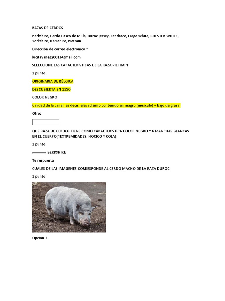 Razas de Cerdos | PDF