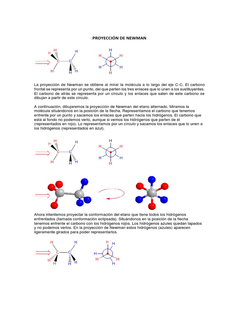 Proyección de Newman | PDF