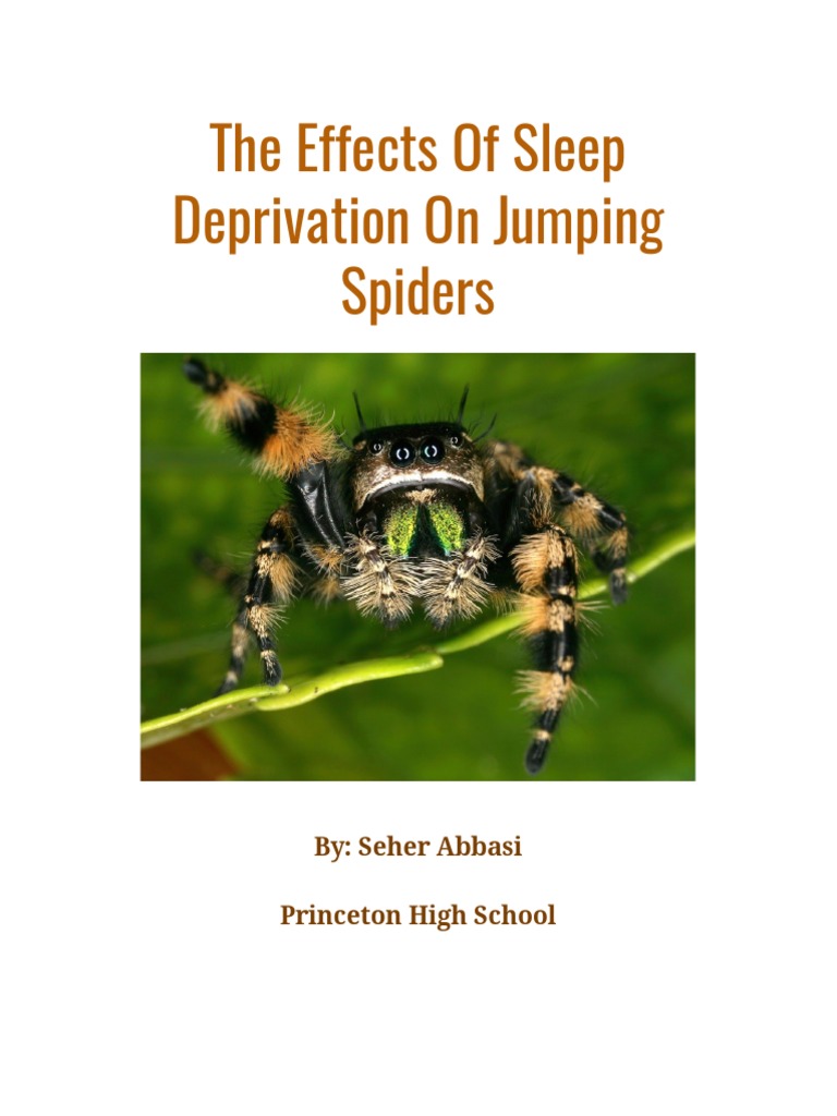 Jumping Spider Research Paper | PDF | Spider | Sleep