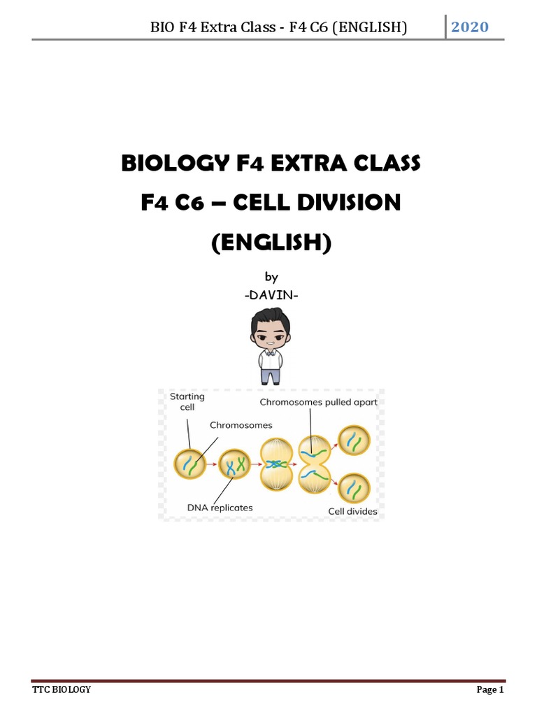 Biology F4 Extra Class F4 C6 - Cell Division (English) | PDF | Mitosis ...