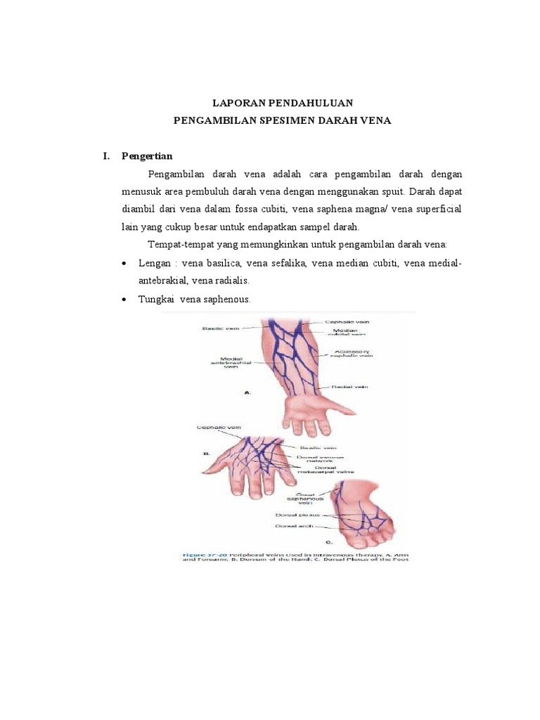 Laporan Pendahuluan Pengambilan Darah Vena | PDF Laporan Pendahuluan Pengambilan Darah Vena | PDF