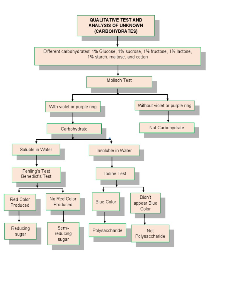 Concept Map - CARBO | PDF