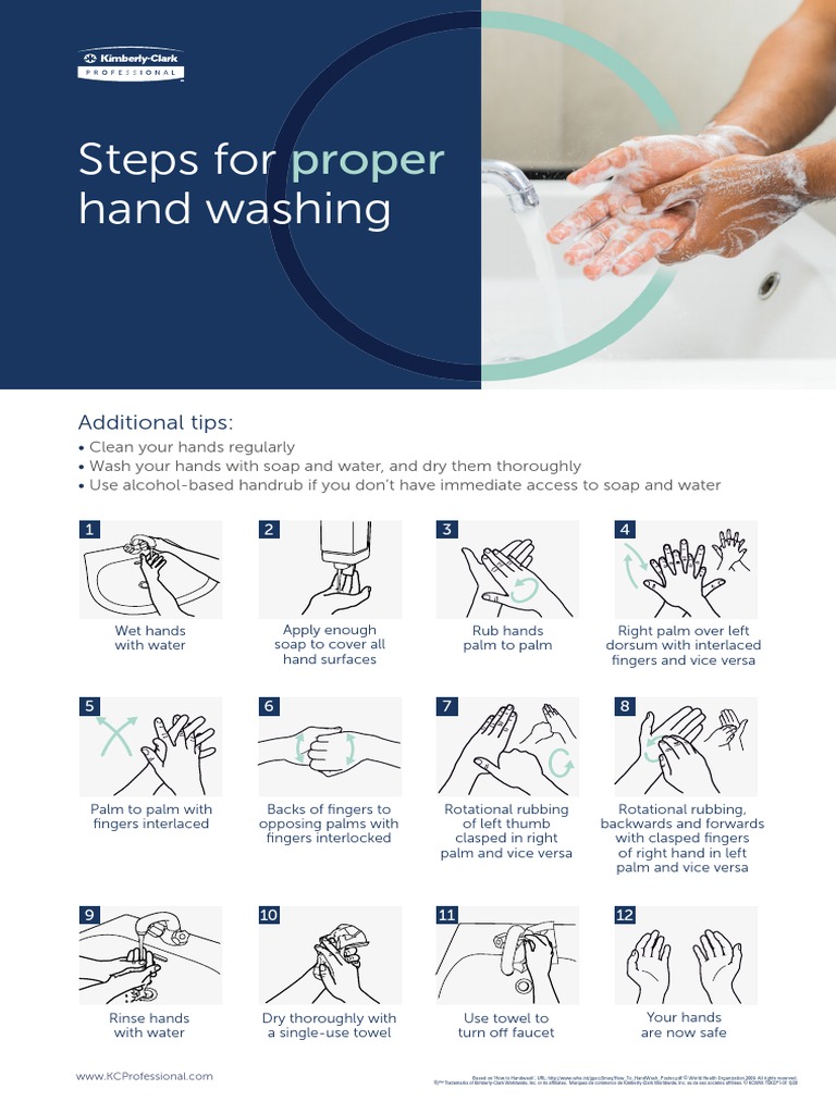 12 Steps For Proper Hand Washing Poster | PDF | Hand Washing | Prevention
