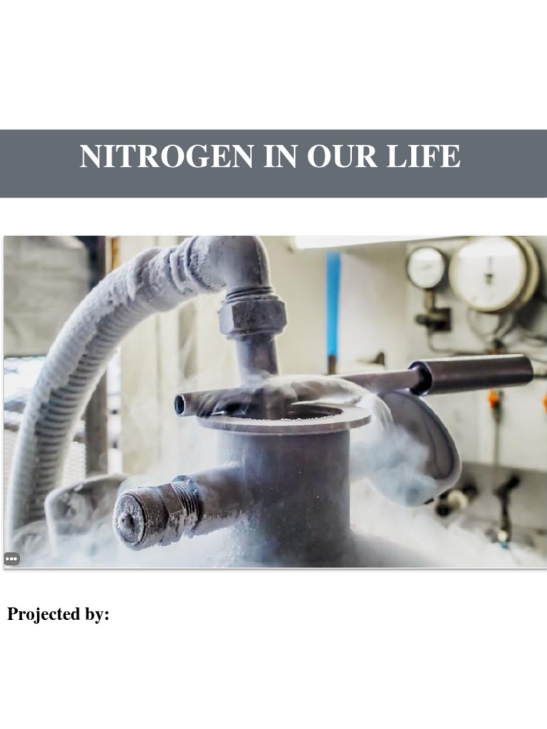 Nitrogen in Our Life: Projected by | PDF | Nitrogen | Soil