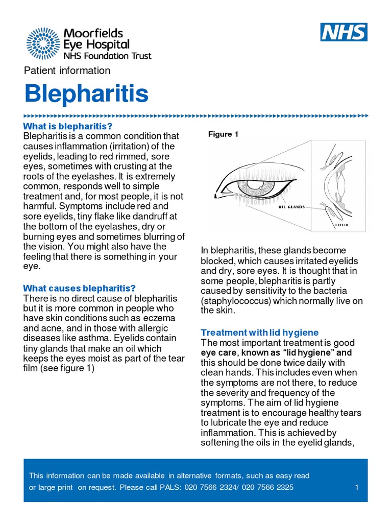 Blepharitis: Patient Information | PDF | Diseases And Disorders | Medicine
