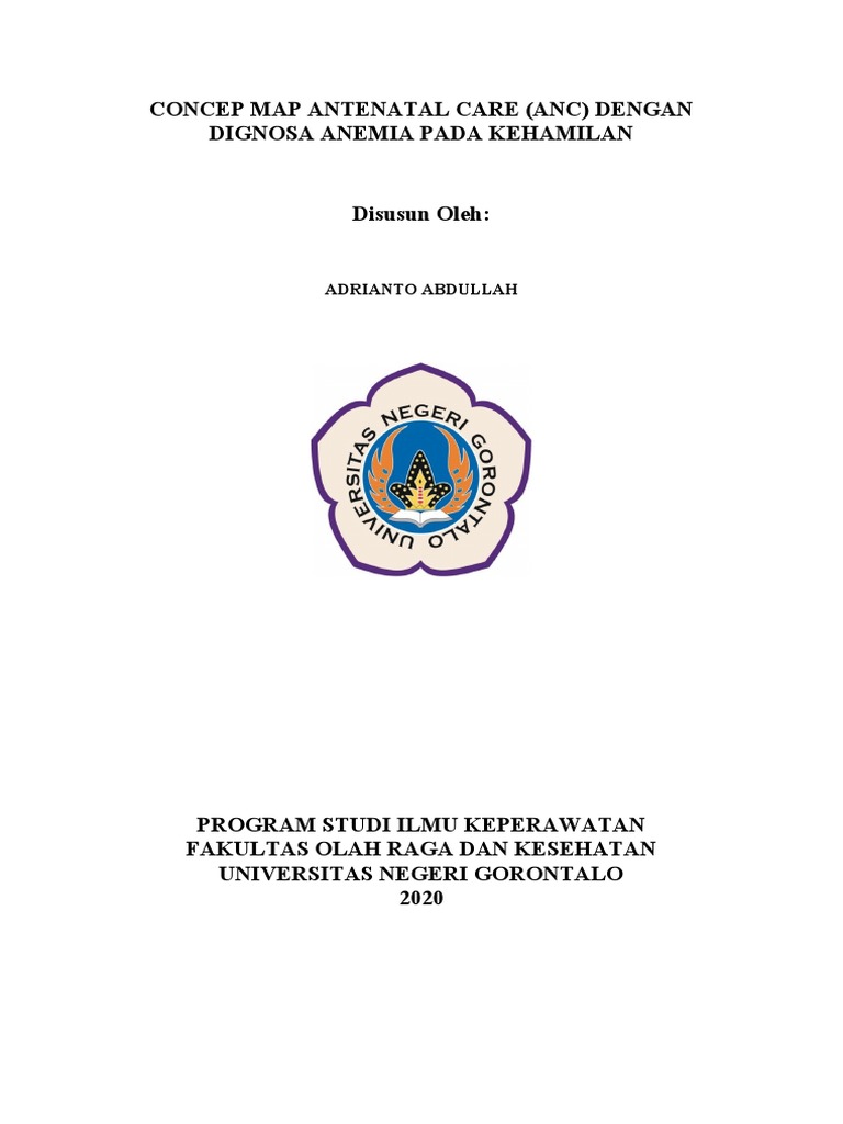 Konsep Map Anc Anemia | PDF