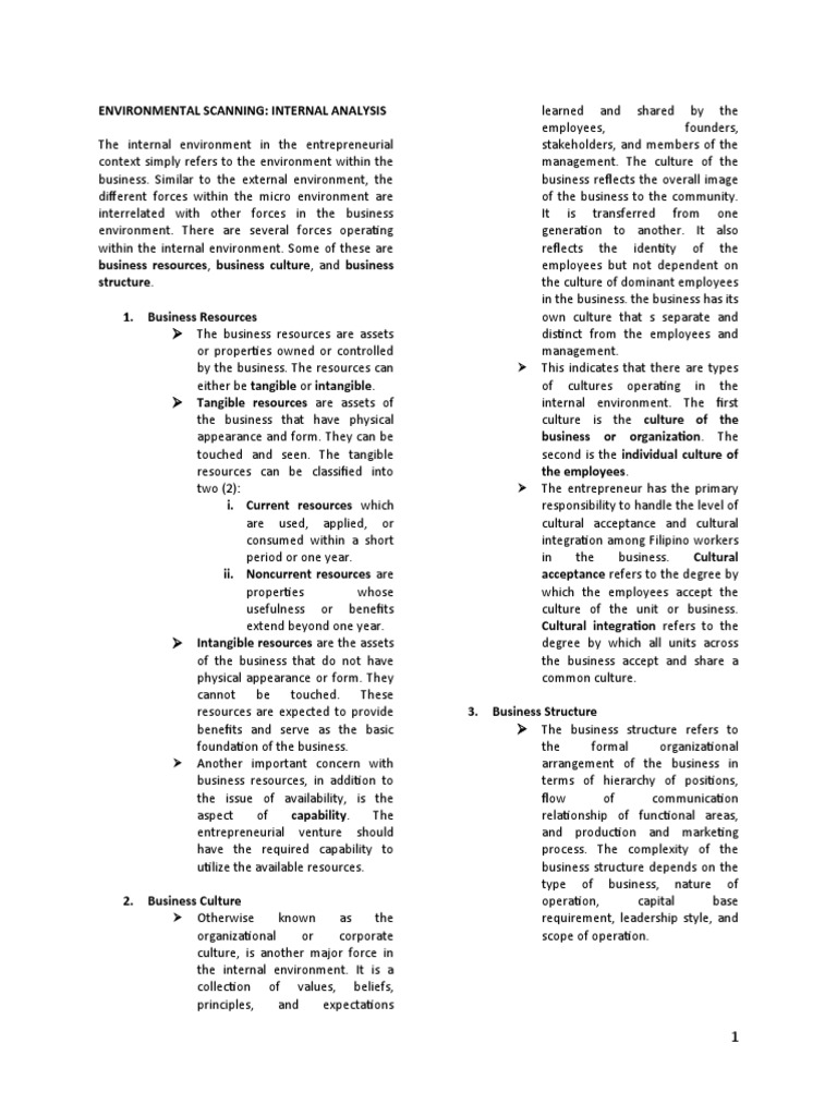 Environmental Scanning Internal Analysis | PDF | Entrepreneurship ...