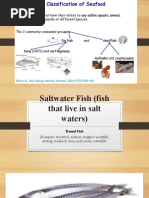 Types of Fish Market Forms Explained | PDF | Fish | Steak
