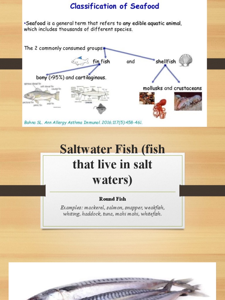 Seafood Classification Overview | PDF | Social Science | Foreign ...