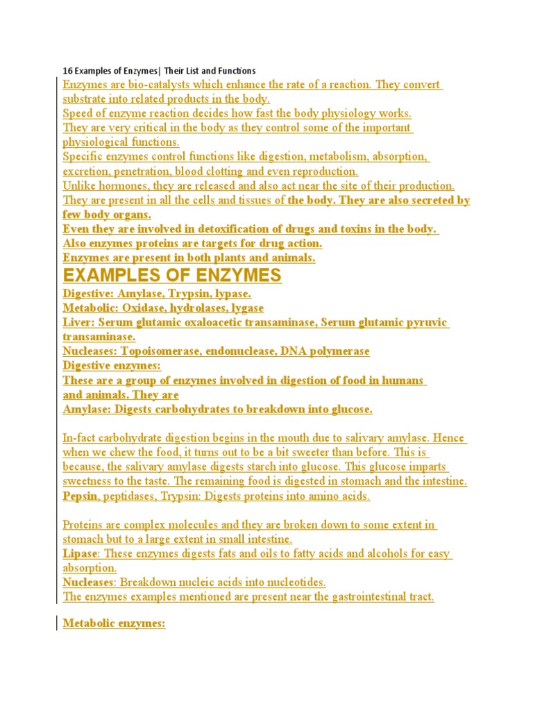 16 Examples of Enzymes | PDF | Digestion | Transaminase