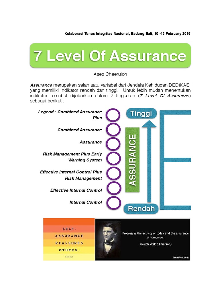7 Level of Assurance | PDF