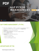 SAP Fund Management Budget Control System | PDF | Budget | Economies