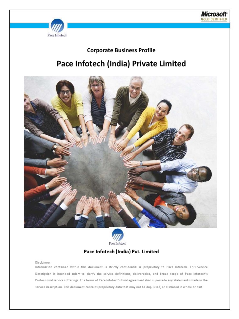 Pace Infotech (India) Private Limited: Corporate Business Profile | PDF ...