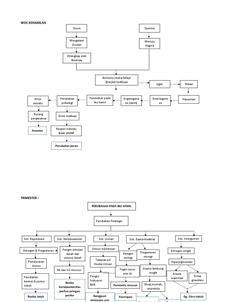 Laporan WOC ANC | PDF