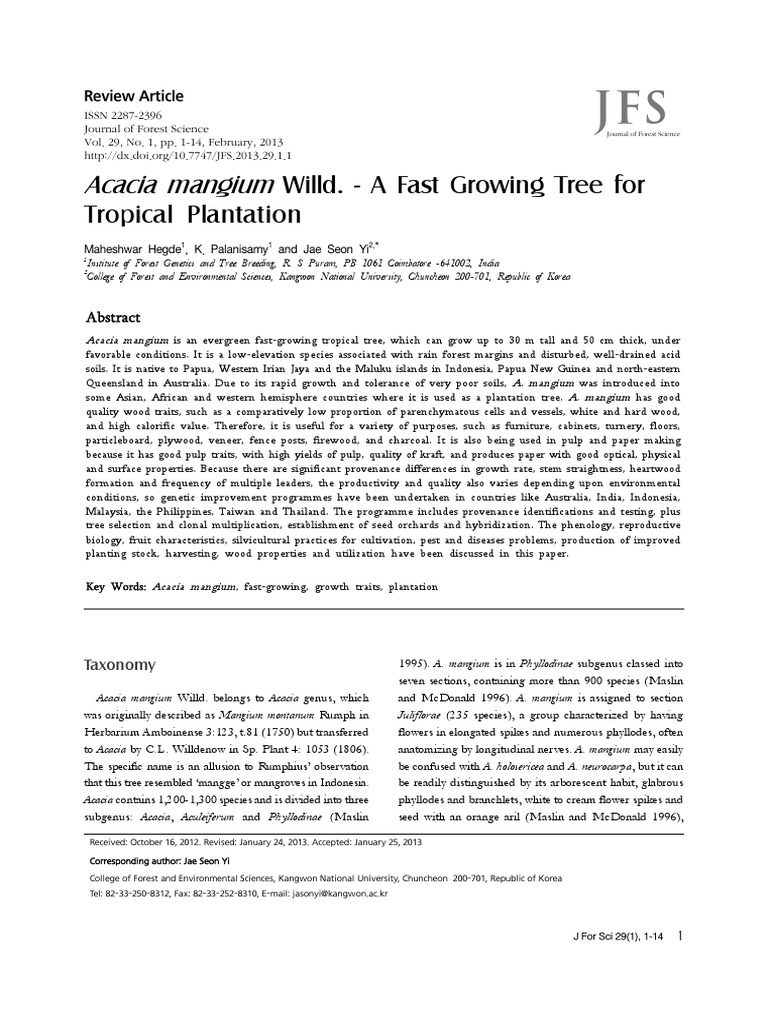 Acacia Mangium: Willd. - A Fast Growing Tree For Tropical Plantation ...