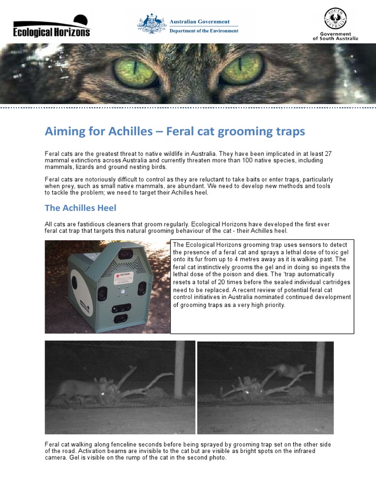 Feral Cat Grooming Trap Jan2015 | PDF | Cats | Organisms