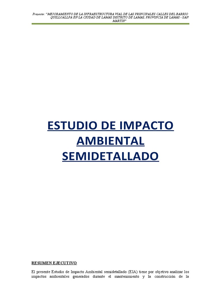 Informe de Impacto Ambiental 70% | Descargar gratis PDF | Evaluación de ...
