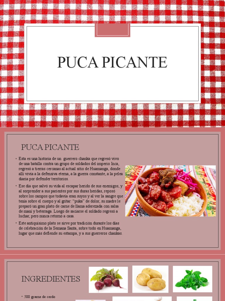 Receta de Puca Picante Ayacuchana | PDF