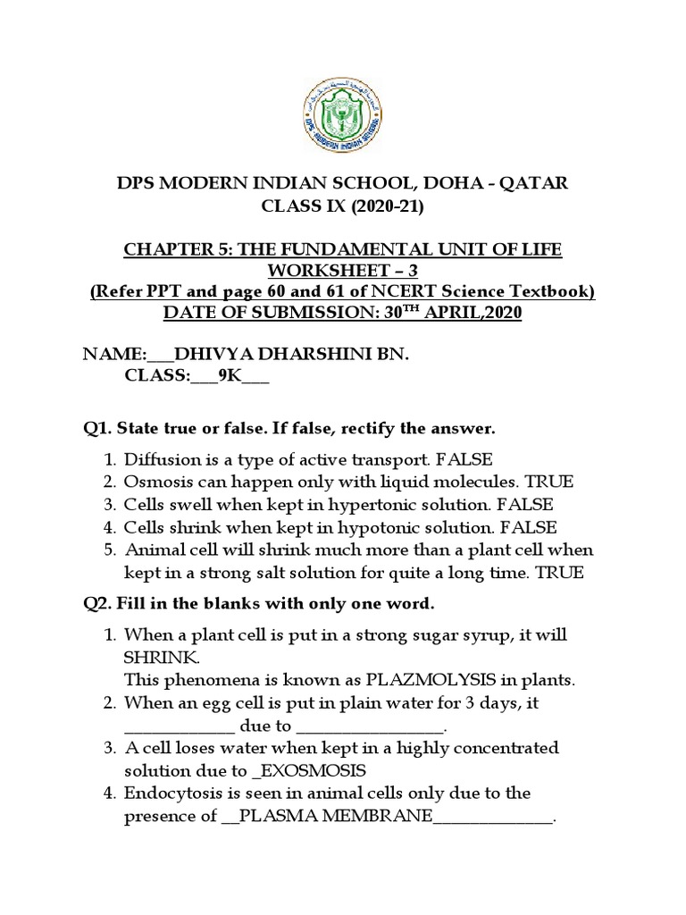 Worksheet 3 - Ch. 5 Grade 9 | PDF | Home & Garden | Wellness