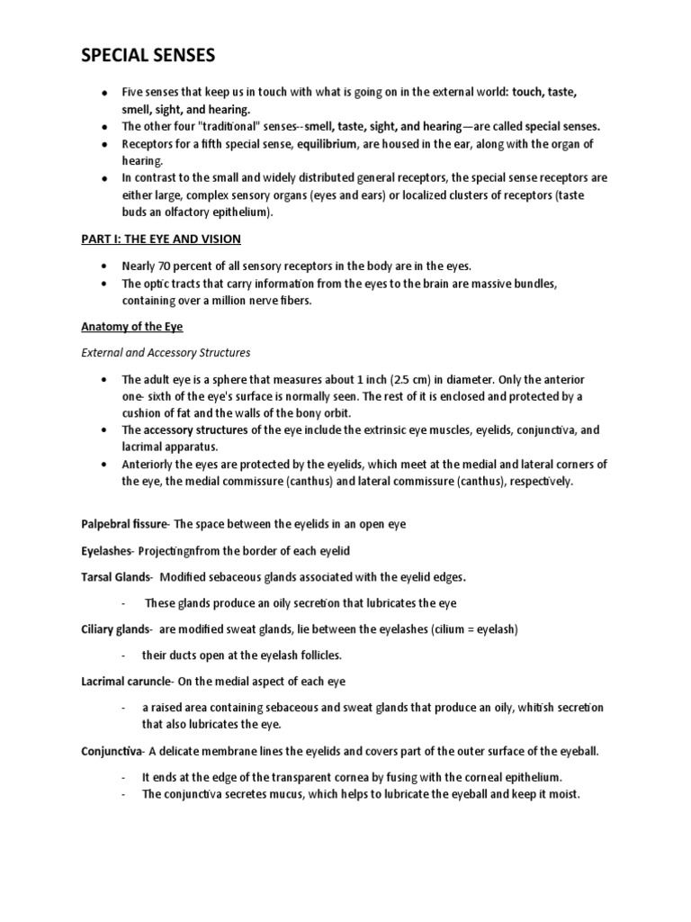 Special Senses: Part I: The Eye and Vision | PDF | Ear | Olfaction