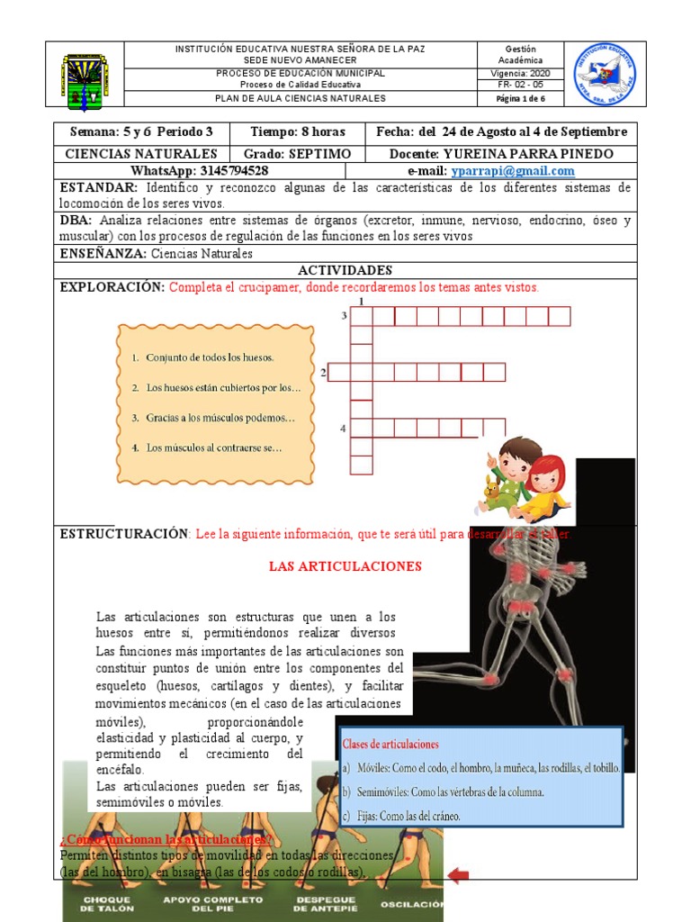 Articulaciones: Función y Cuidado | PDF | Articulación | Sistema ...