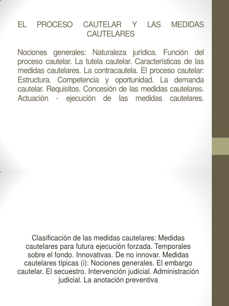 EL PROCESO CAUTELAR Y LAS MEDIDAS CAUTELARES Clase 1,2,3 | PDF | Mandato | Apelación