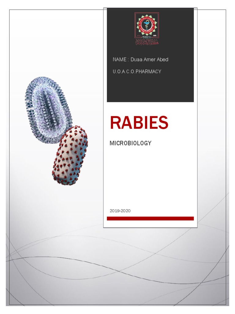 Overview of Rabies: Pathogenesis, Symptoms, Diagnosis, Treatment, and ...