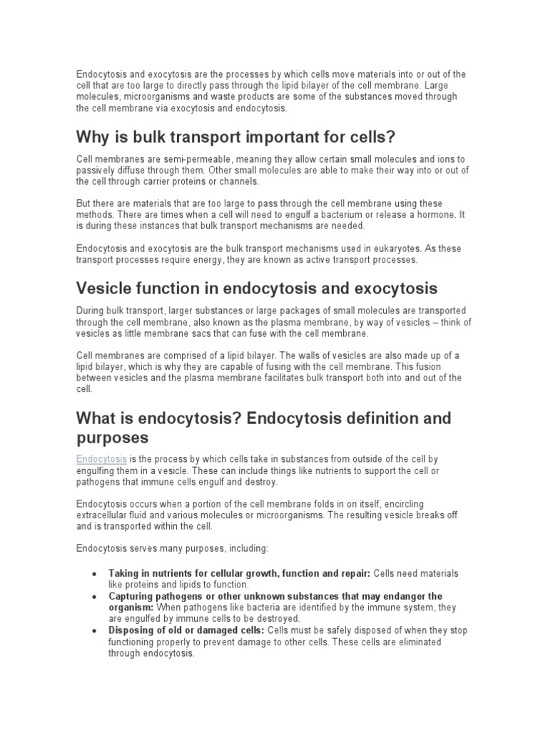 Why Is Bulk Transport Important For Cells?: Endocytosis | PDF | Vesicle ...