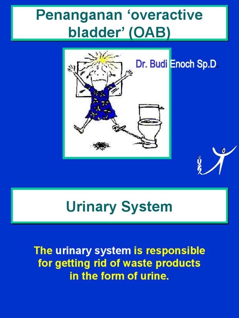 9 Kuliah Overactive Bladder | PDF | Urinary Incontinence | Urinary Bladder