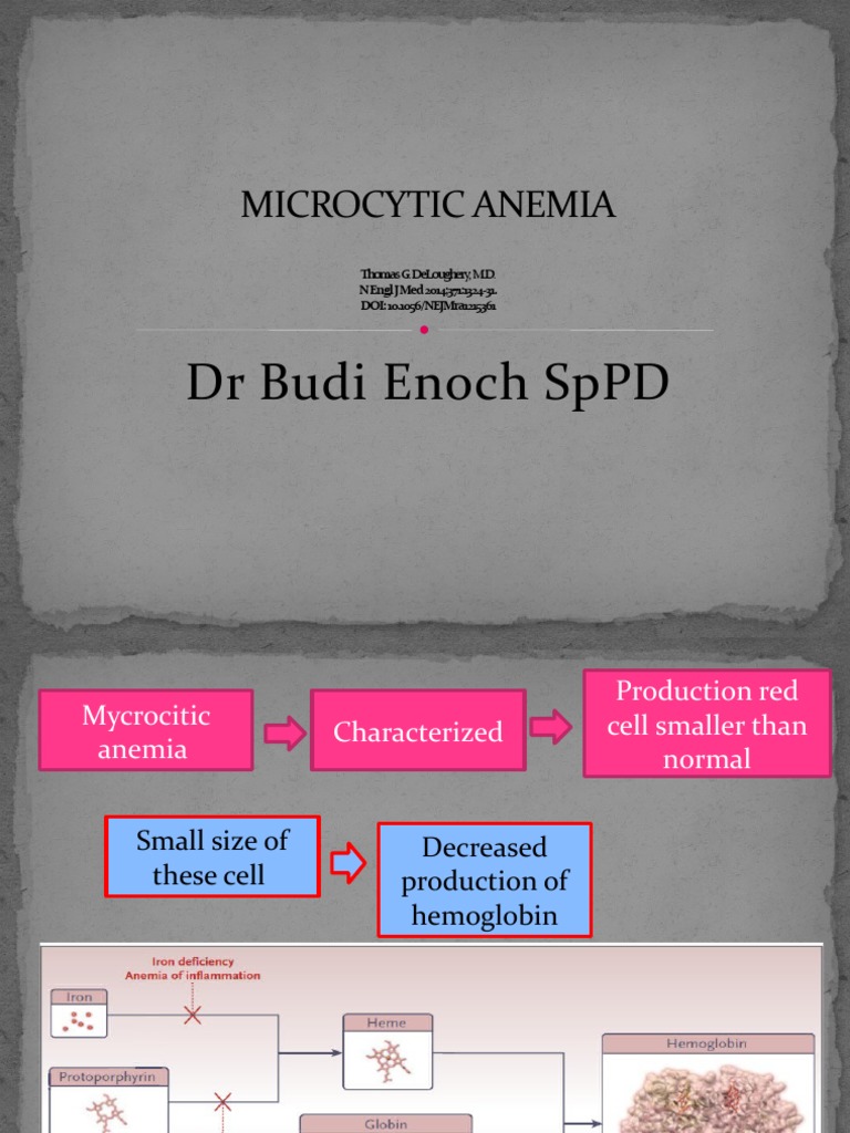 Microcytic Anemia, Iron Deff Dan Thalasemia | PDF | Anemia | Hemoglobin