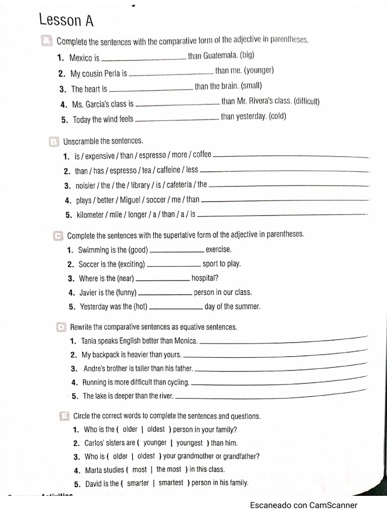 Unit 4 Grammar Exs - 1 | PDF
