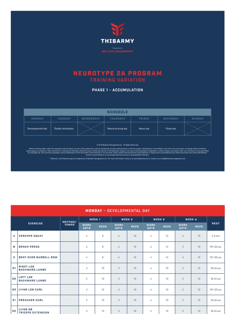 Neurotype 2A-TrainingVariation - v1 | PDF | Copyright Infringement | Copyright